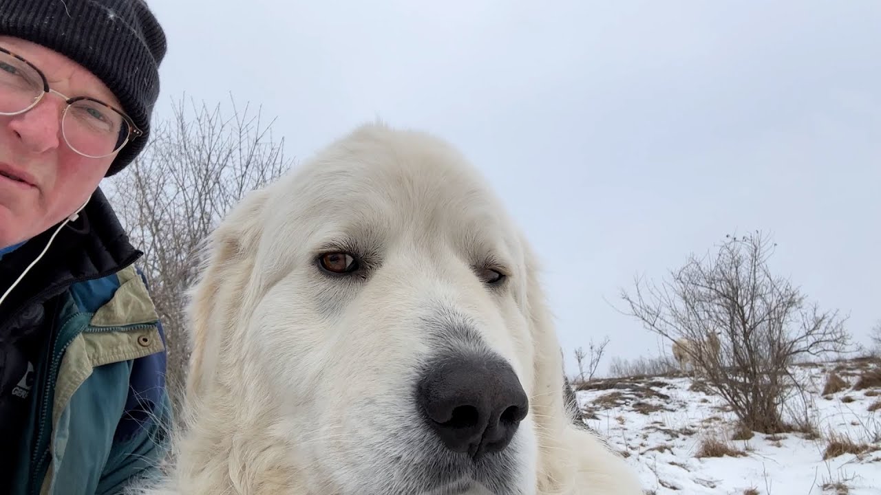 Sunday Message: SPRING? GIMME PATIENCE NOW! | Song: Tears At A Moment's Notice | Rev. Mark ...