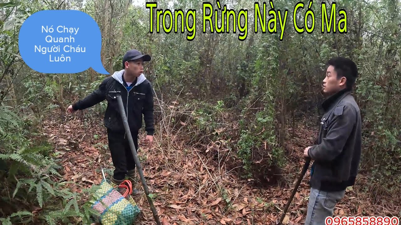 Rợn Tóc Gáy Team Đoàn Dương Bị Ma Trêu Và Ổ Rắn Đầy Quái Dị... - YouTube