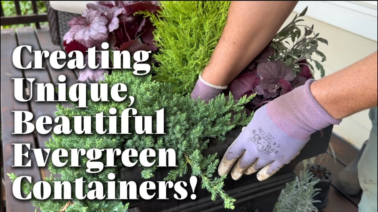 Planting Beautiful, Unique Evergreen Containers Focusing on Texture and ...
