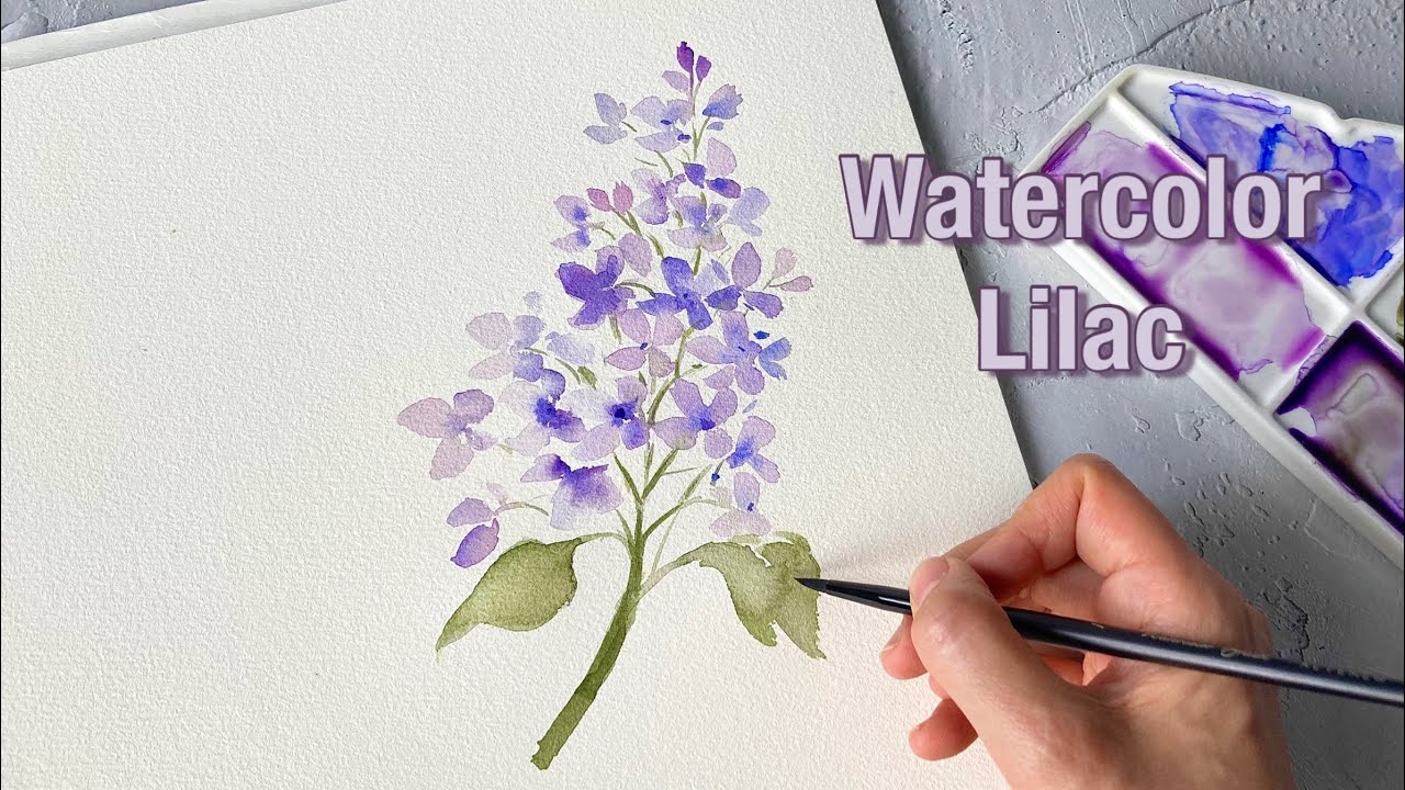 Paint a Stunning Watercolor Lilac Using Easy Watercolor Techniques ...