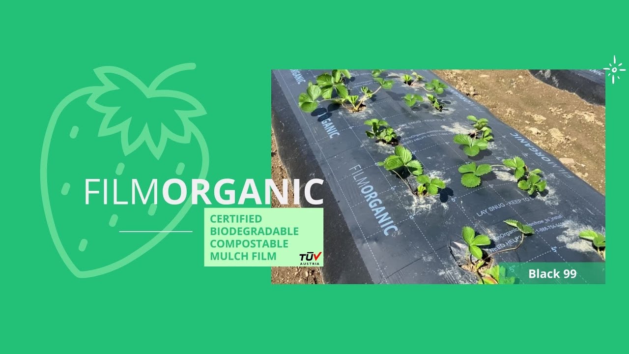 Certified Compostable-Biodegradable Mulch Film By FilmOrganic - YouTube