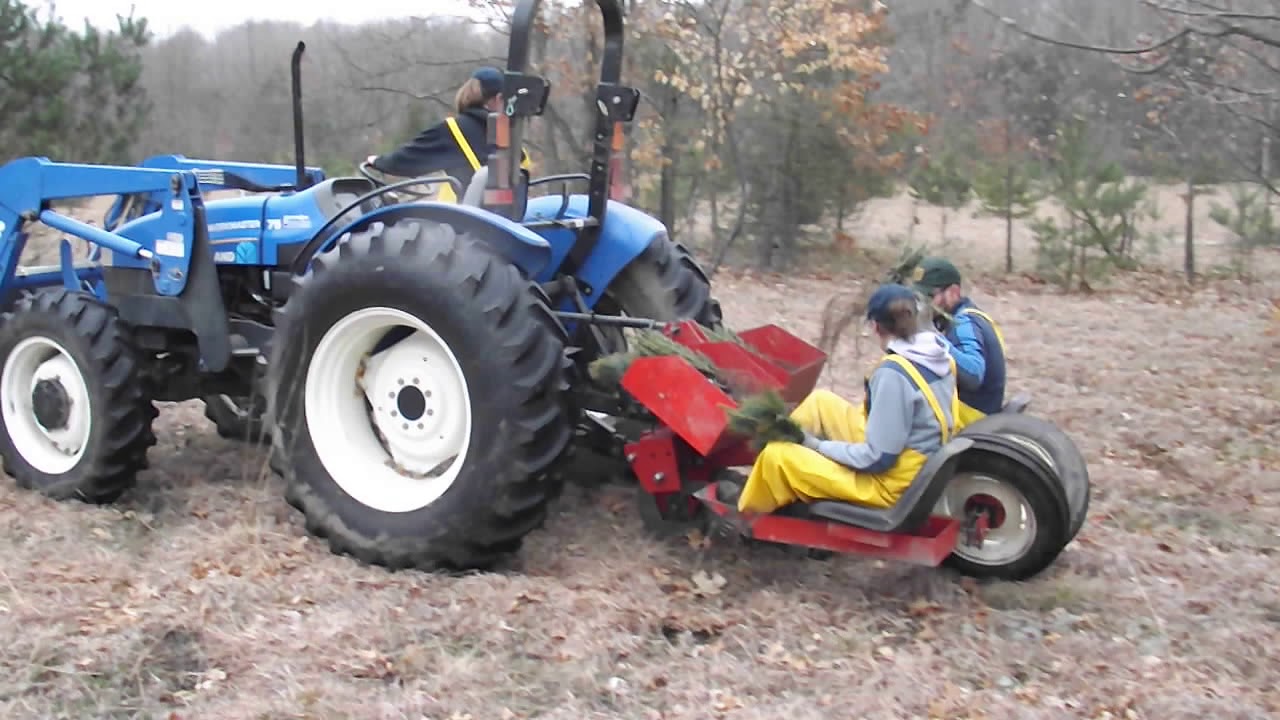 MCD Staff Tree Planting - YouTube