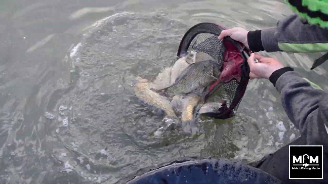 Feeder Fishing Masterclass- Catch MORE fish on the CAGE FEEDER - YouTube