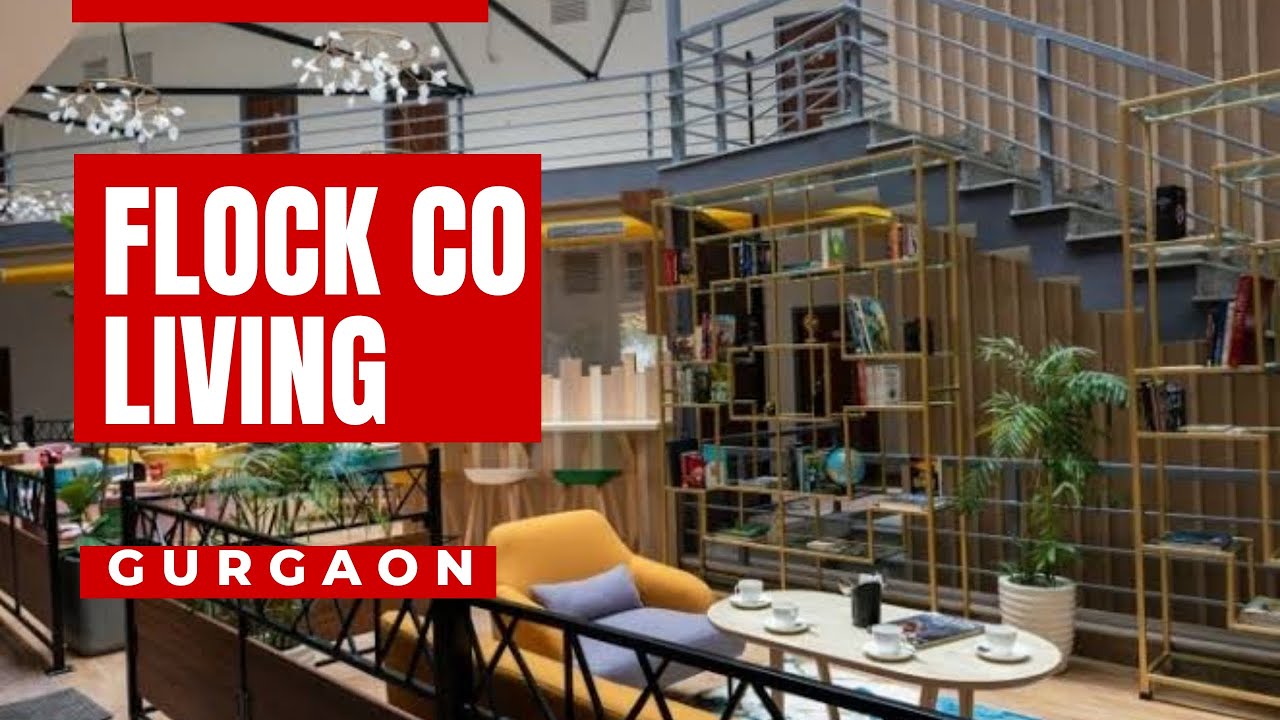Flock Co-Living - Luxury PG Gurgaon - YouTube