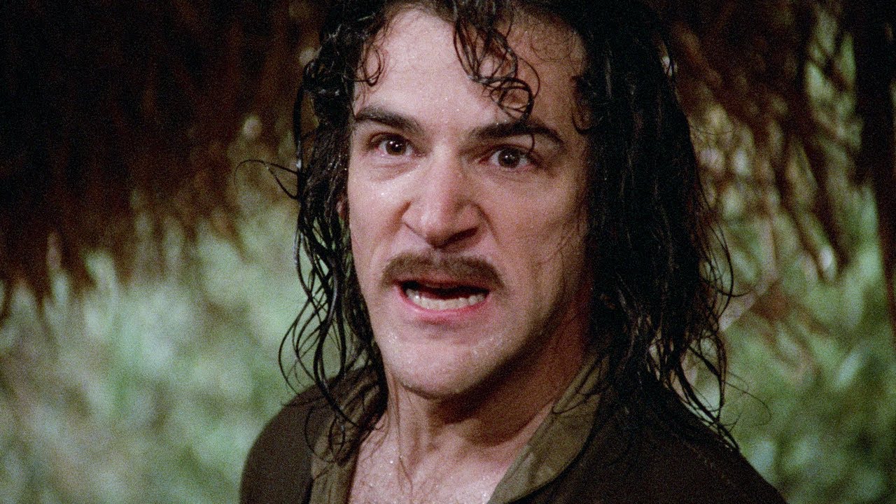 THE PRINCESS BRIDE (1987) | Chapter 18: "There Will Be Blood Tonight ...
