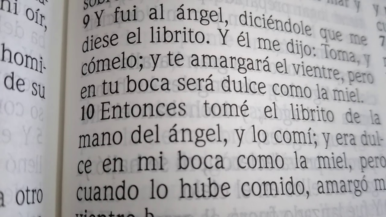 EL ÁNGEL CON EL LIBRITO Apocalipsis 10:1-11 📖... 🏻 - YouTube