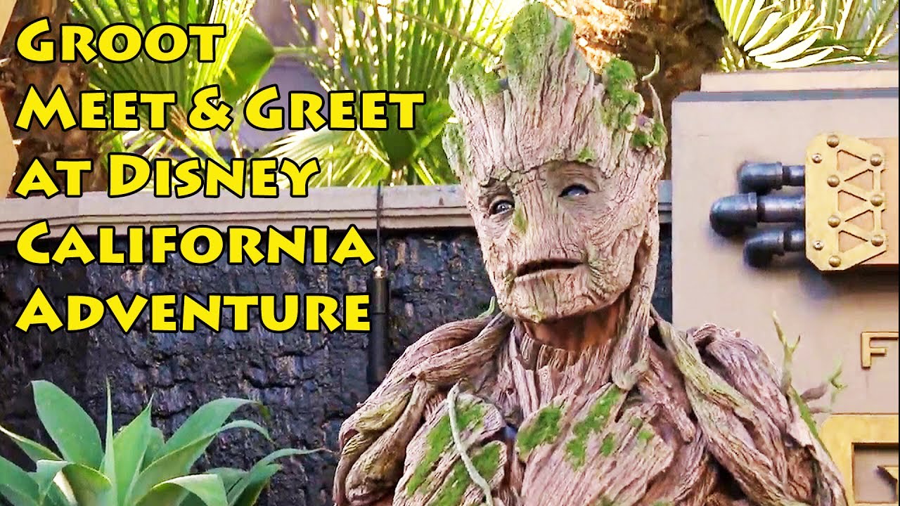 Full Size Groot Character Meet & Greet at Disneyland Summer of Heroes ...