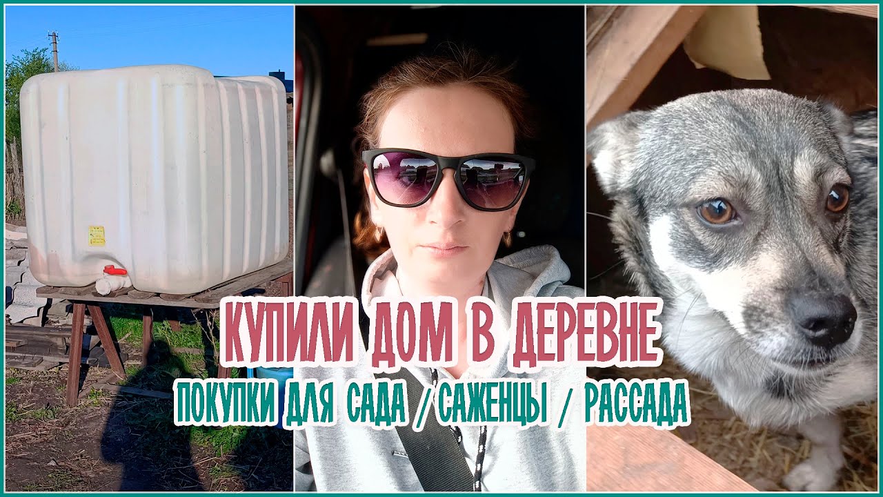 🏡 Купили дом в деревне Покупки для сада Рассада Заморозки Youtube