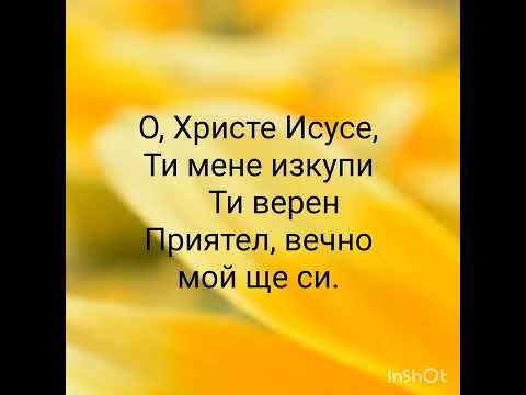 С ХРИСТА ДА СЪМ Е РАДОСТНО /492