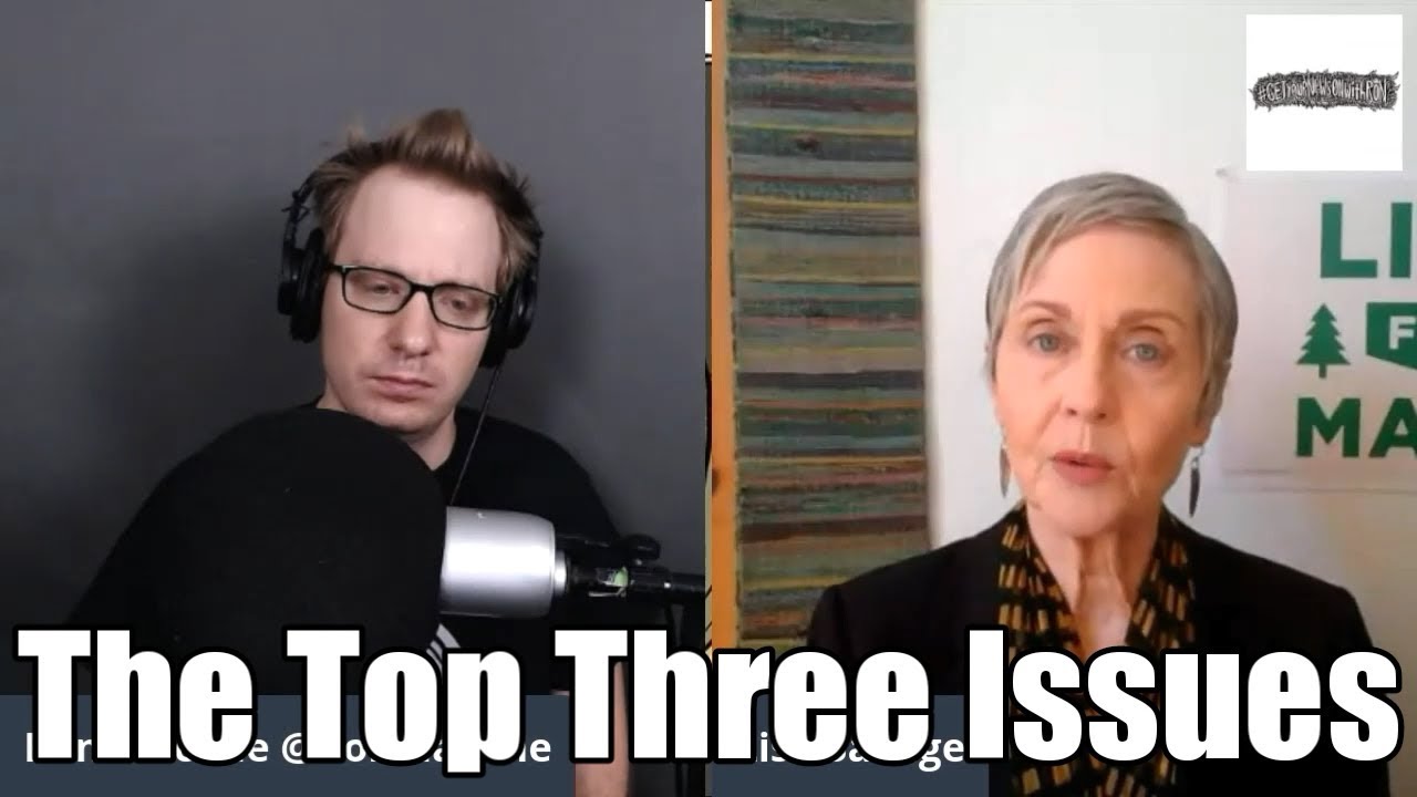 Candidate For Senate Lisa Savage's Top Issues - YouTube