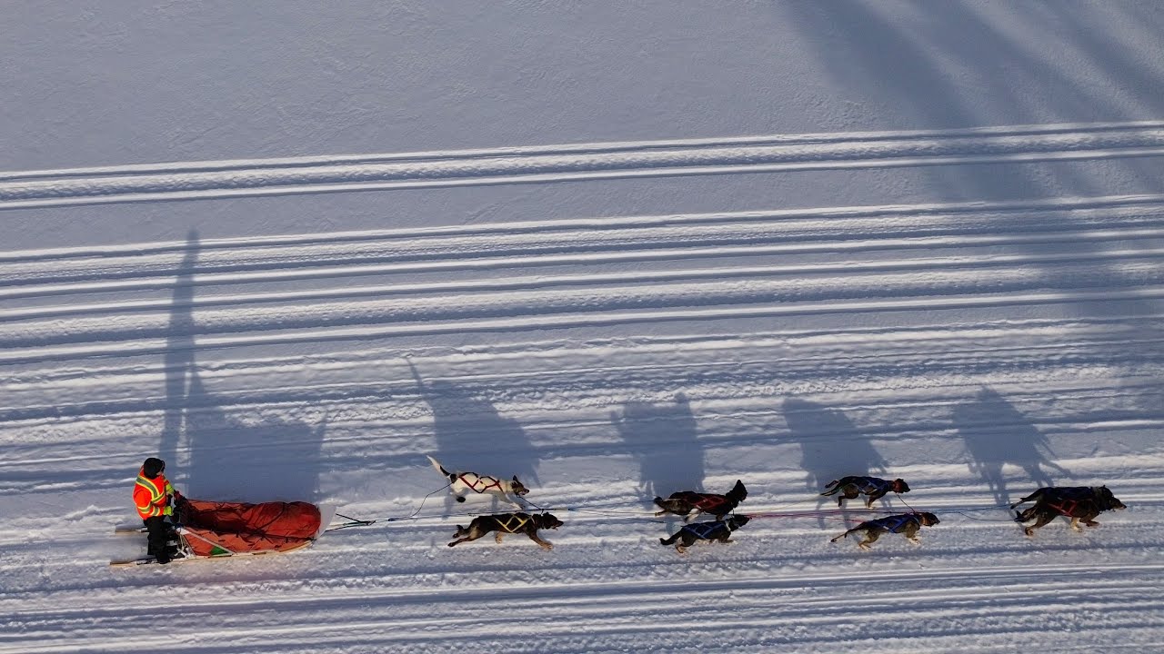 Canadian Challenge Sled Dog Race - Training Day - YouTube