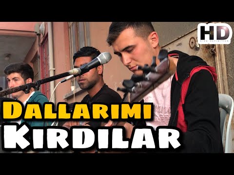 Yasin Yaşlı - Dallarımı Kırdılar *HD*