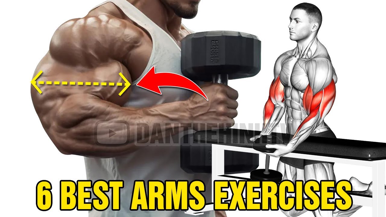 6 Best Exercises To Increase Your Arm Size - YouTube