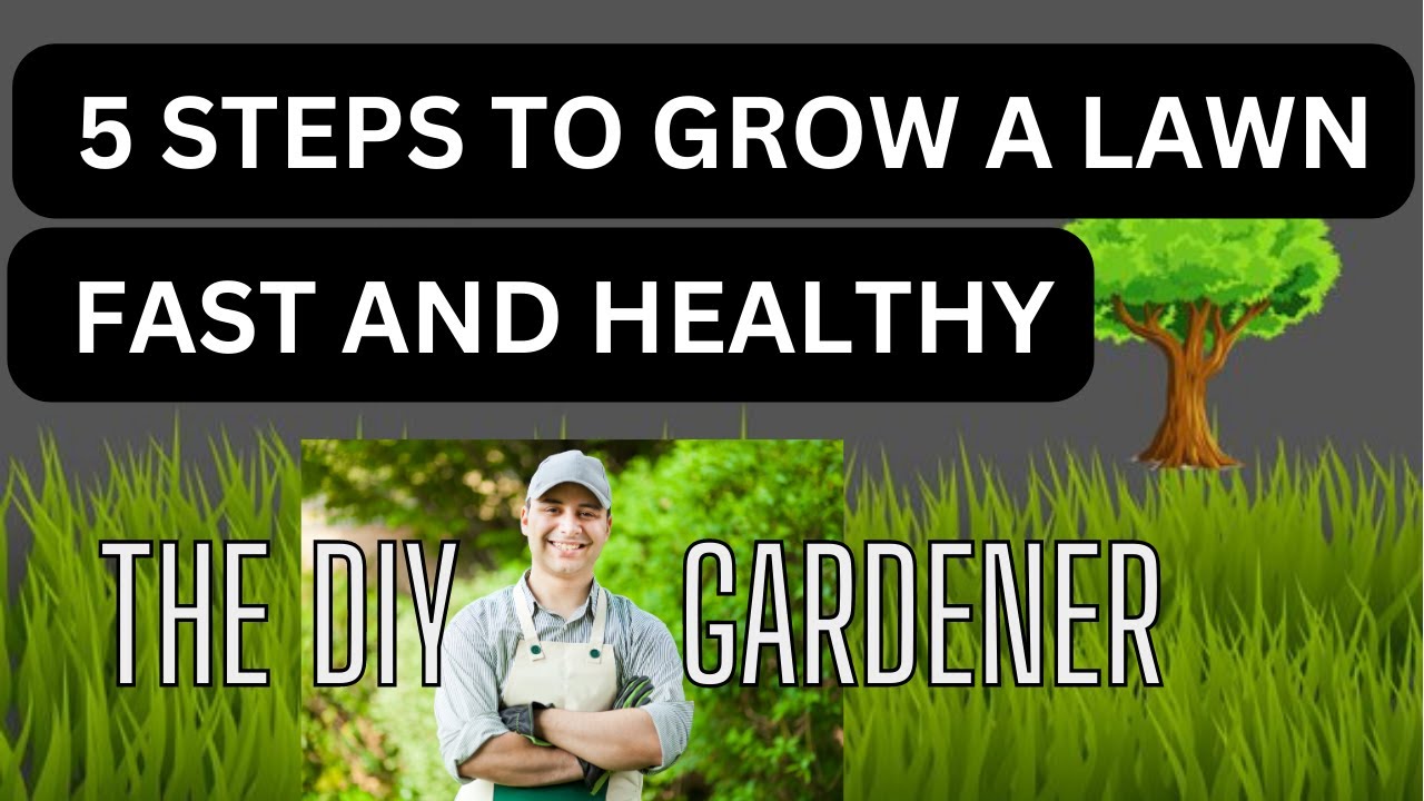 GROW THE PERFECT LAWN 7 STEPS - YouTube