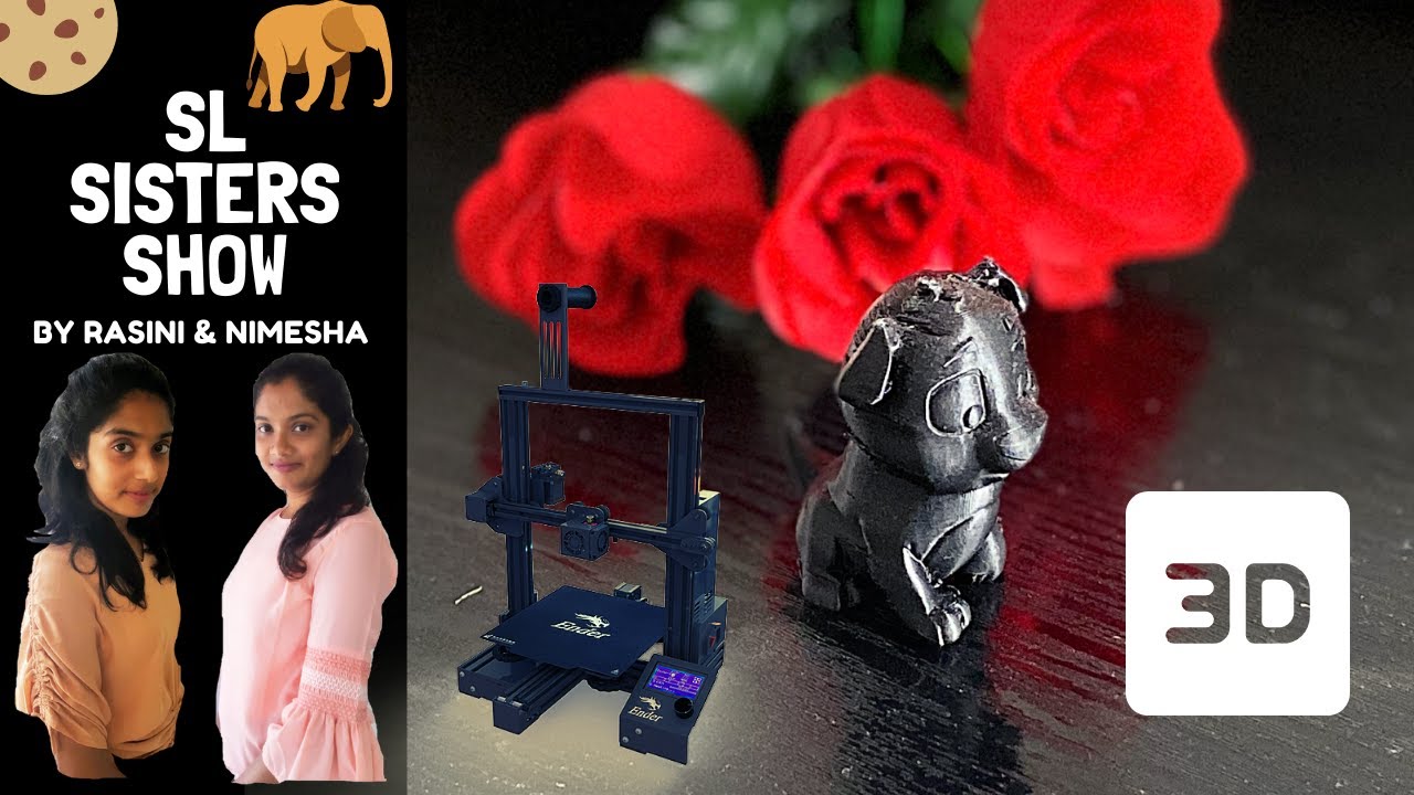 Awesome 3D Printed DIY Projects | Ender 3 Pro - YouTube