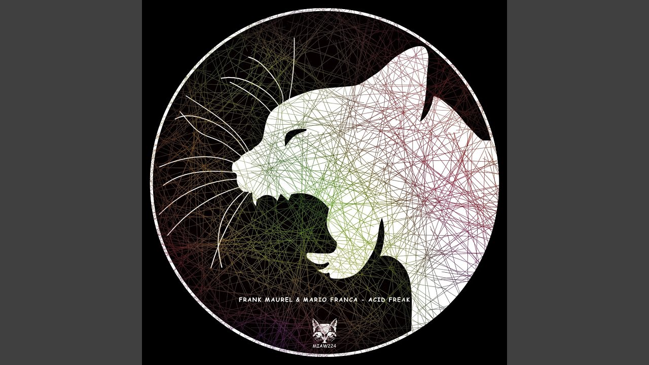 Acid Freak (Original Mix) - YouTube