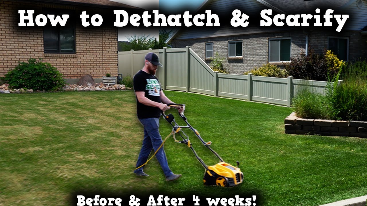DIY How To: DETHATCHING & SCARIFYING this lawn SAVED IT! From brown to ...
