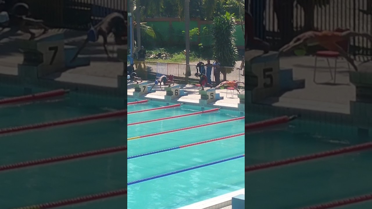 Final 50m gaya bebas putri O2SN SD #renang #final #shortvideo #shorts # ...