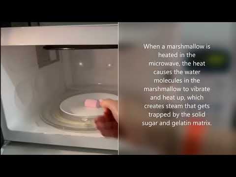 Marshmallow in a microwave - YouTube