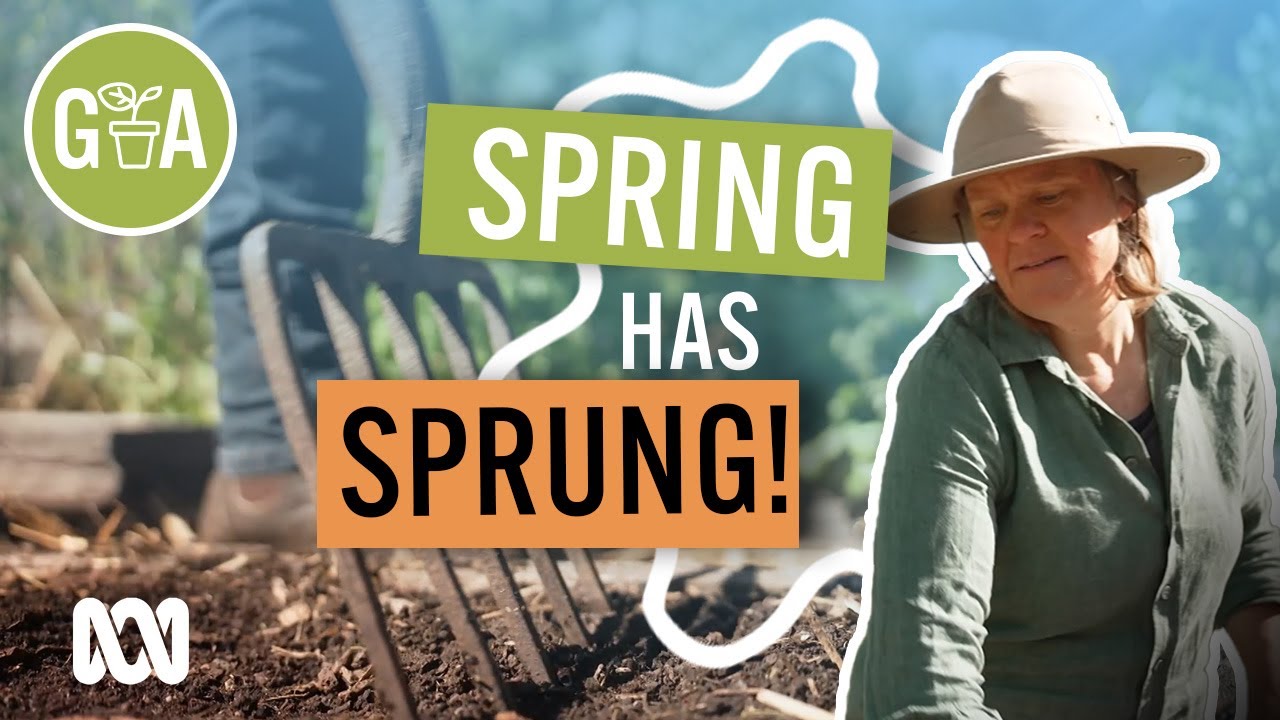 Spring Jobs to Start NOW | Gardening 101 | Gardening Australia - YouTube