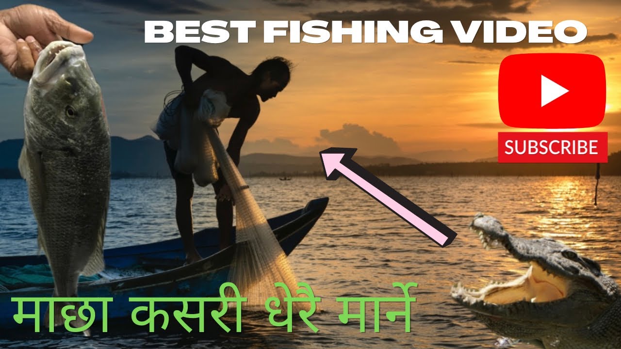 Fishing videos | fishing videos big fish | how to catch fish | how to ...