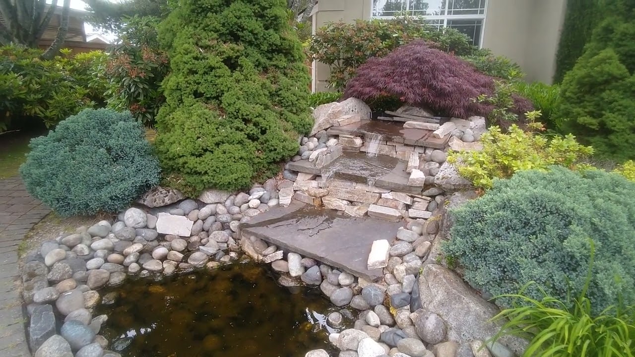 Carly Rider "I've got a River of Life Flowing Out of Me...."🌟🕊️ ♥️💛💜🤍🌹 ...