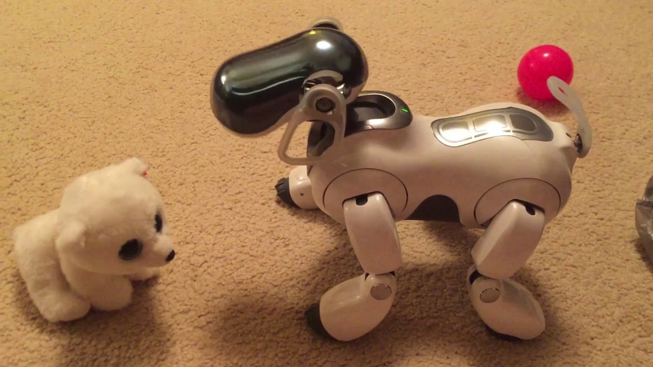 Sony Aibo ERS-7 M3 and her little polar bear! CUTE - YouTube