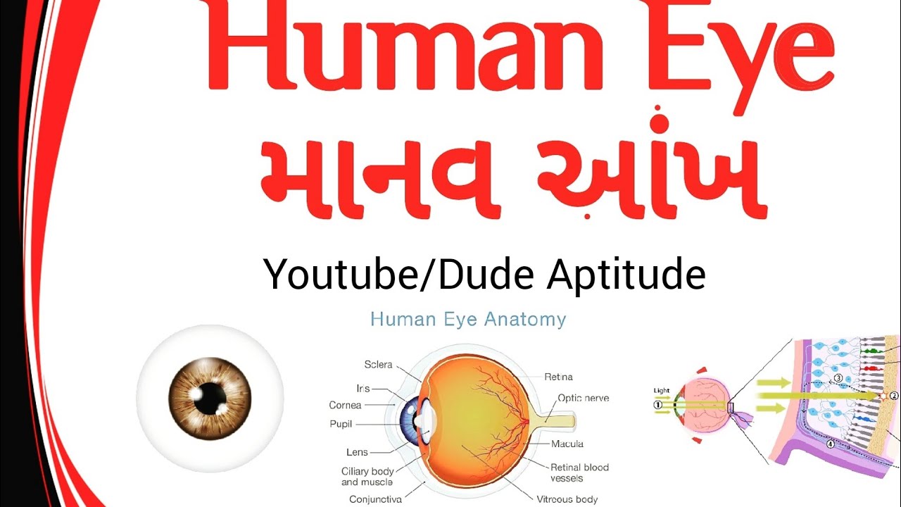 std10 Science ch 10 || Human Eye in Gujarati || માનવ આંખ || Science ...