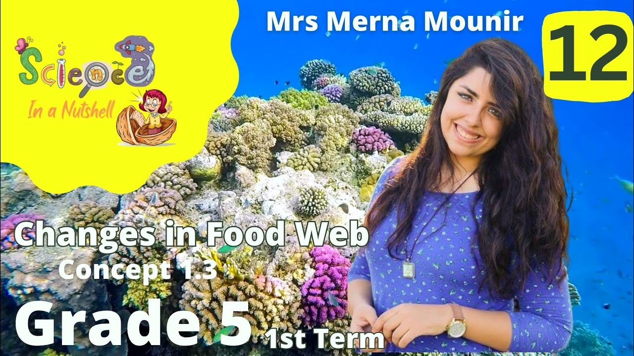 Science_Grade5-Junior 5-Concept 1.3-1stTerm-changes in a food web -v12 ...