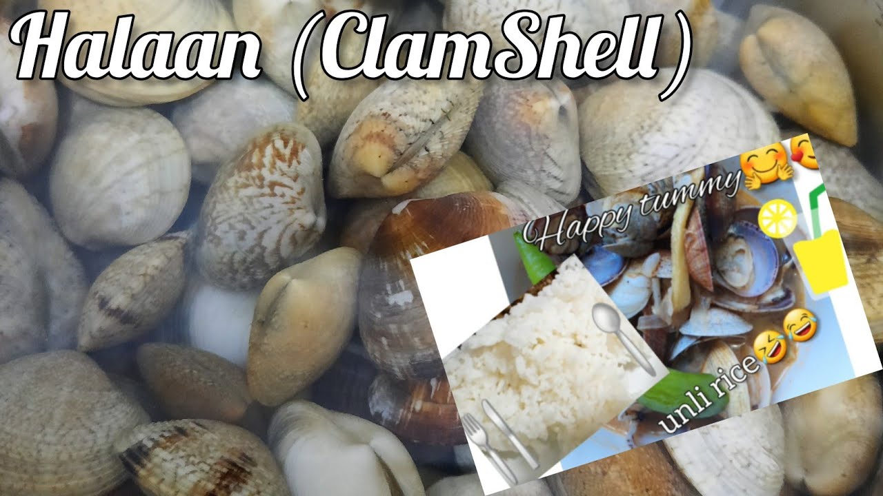 Nanguha kami ng Halaan sa Fintas Q8 // Ginisang Halaan with sprite ...