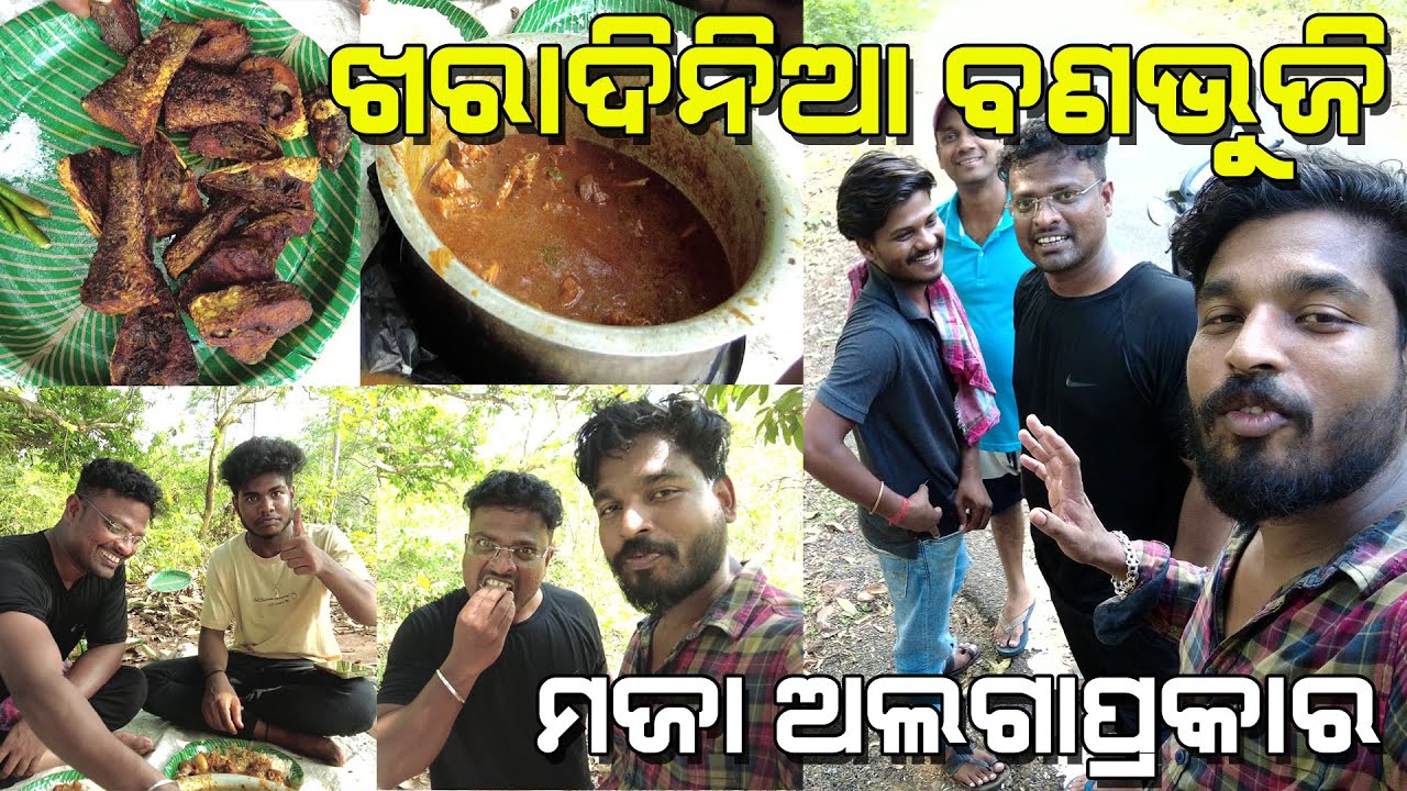 ଖରାଦିନିଆ ବଣଭୋଜି I Pabitra Pari Vlogs I Chicken Recipe I Fish Fry I Maa ...