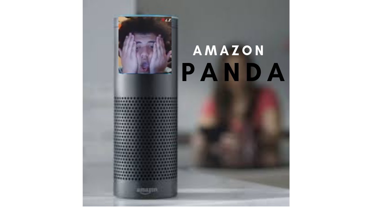 Introducing Amazon Echo: Panda Edition - YouTube
