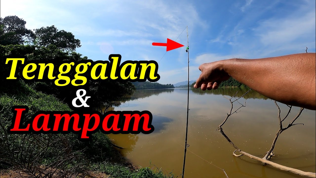 Memancing di sungai pahang mencari cik tenggalan - YouTube