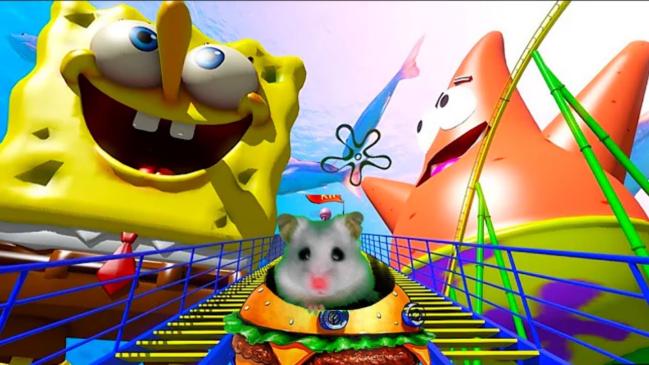Hamster on the SpongeBob SquarePants roller coaster - YouTube