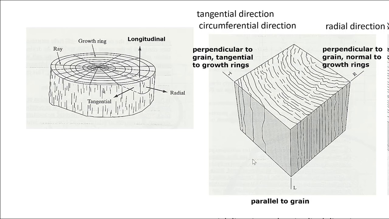 Orthotropic Nature of Wood - YouTube