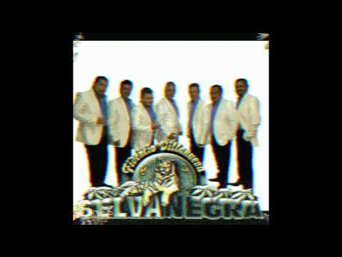 Grupo selva negra en vivo María Elena - YouTube