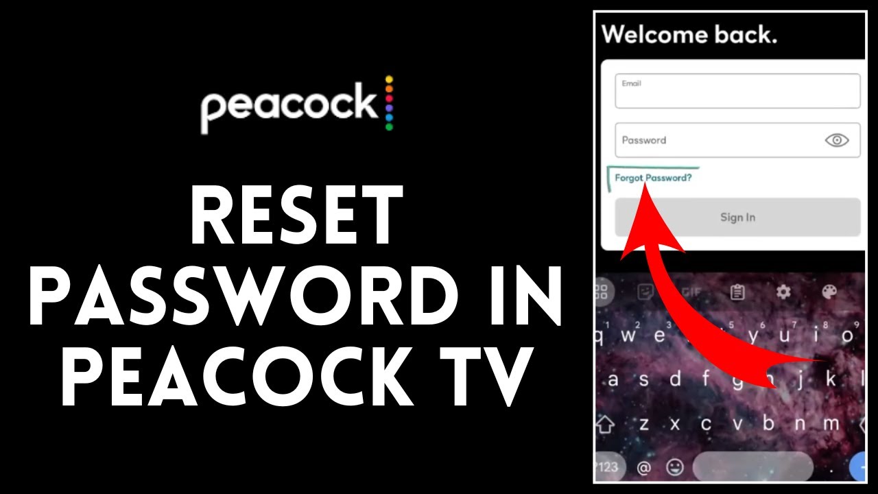 How to Reset Password in Peacock TV - YouTube