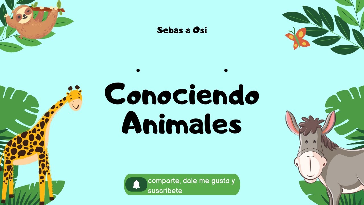 Alimentando Animales de Granja | Hacienda Panoaya - YouTube