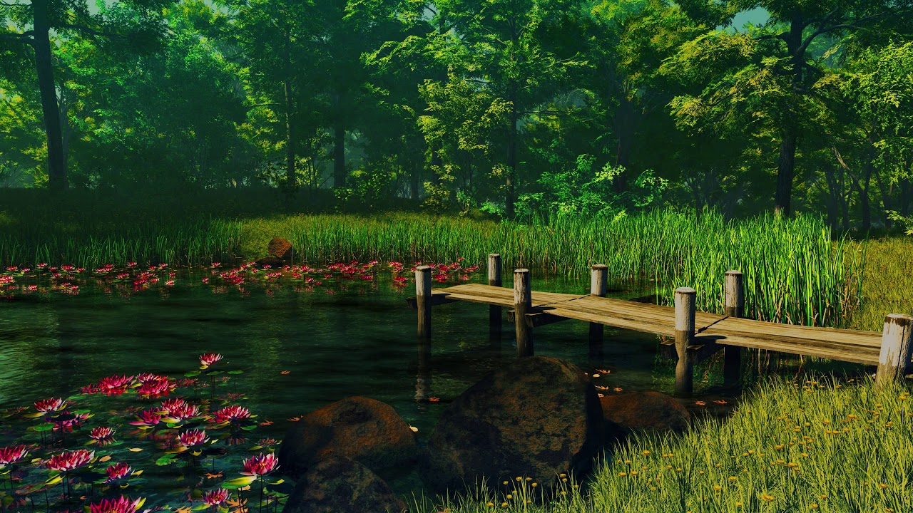 Lake Ambience ASMR // Sleep Ambience // Pond Nature Sounds // Lake ...