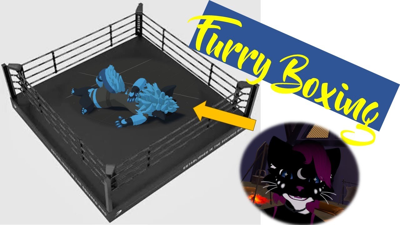 Furry Boxing - YouTube