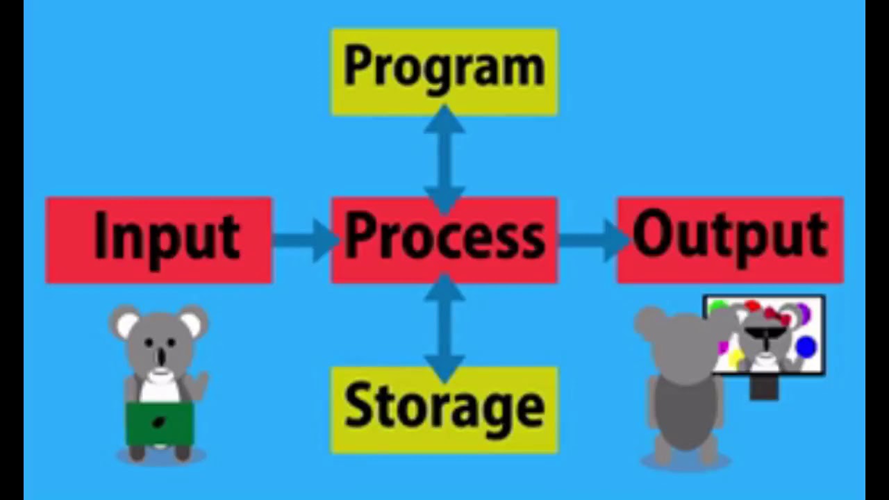 Class 3rd Input Process Output cycle - YouTube