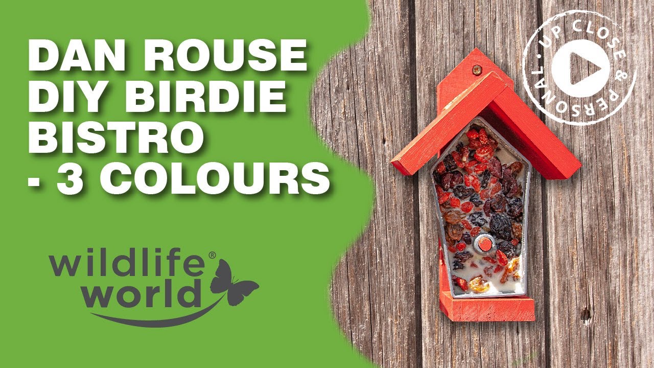 DAN ROUSE DIY BIRDIE BISTRO VIDEO - YouTube