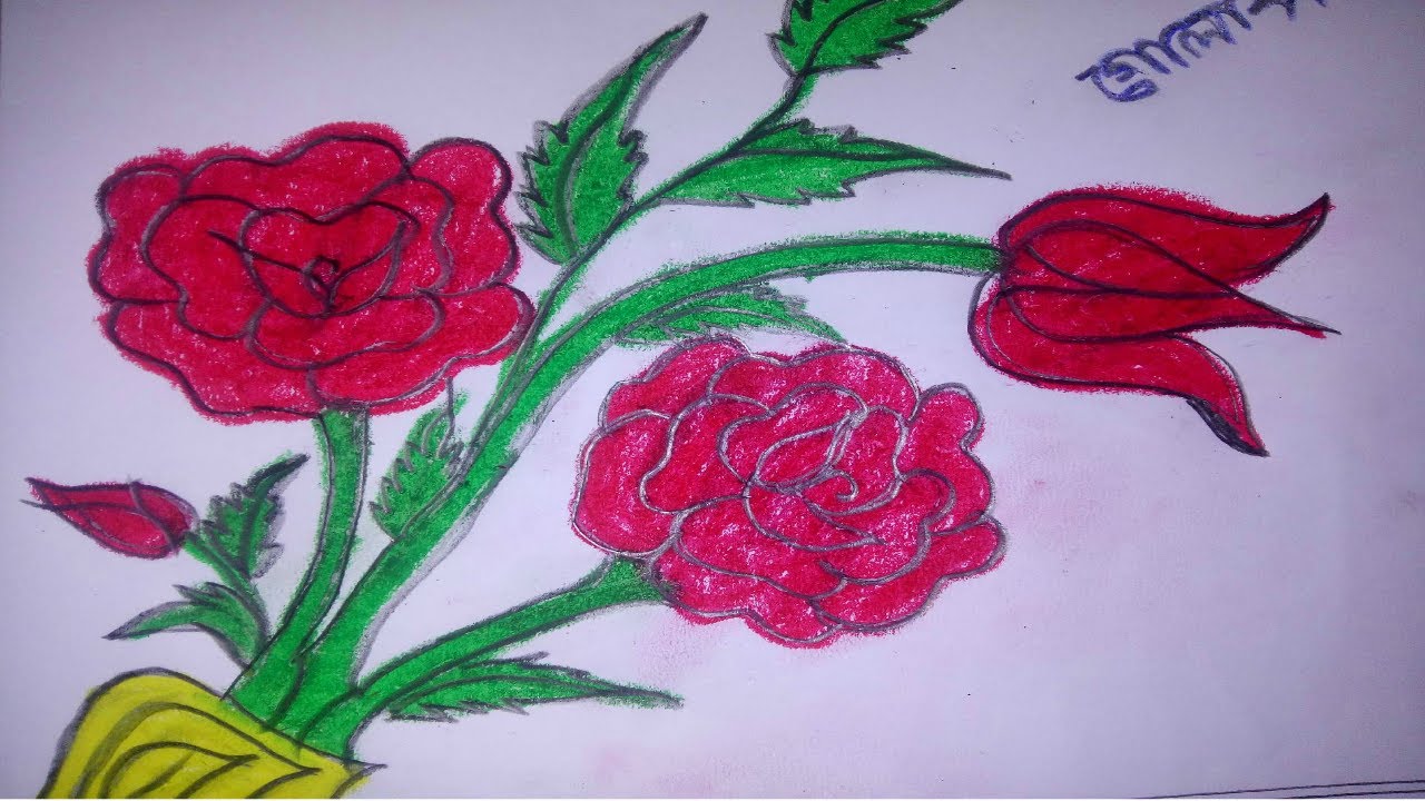 How to draw a rose tree and use color step by step /. topic drawing ...