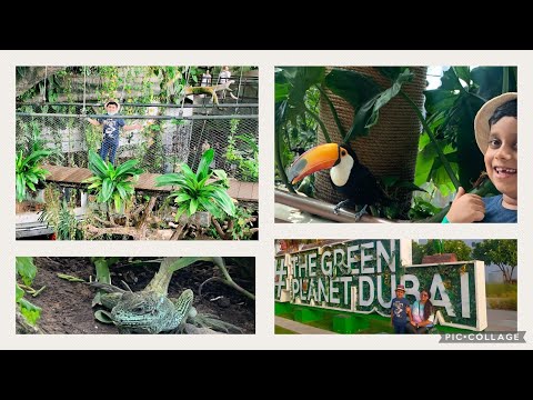 The Green Planet Dubai | Tropical Rainforest Experience in hot dessert 🤗| #thegreenplanetdubai