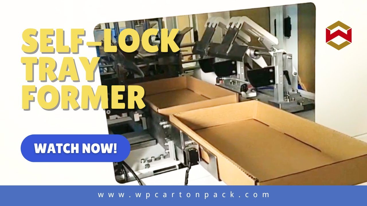 WIN-WIN PACK Self-Lock Tray Former/Efficient Tray Forming Machine for ...