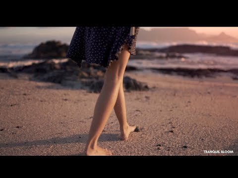 “Drift into peace with calming melodies 🌙 ” - YouTube