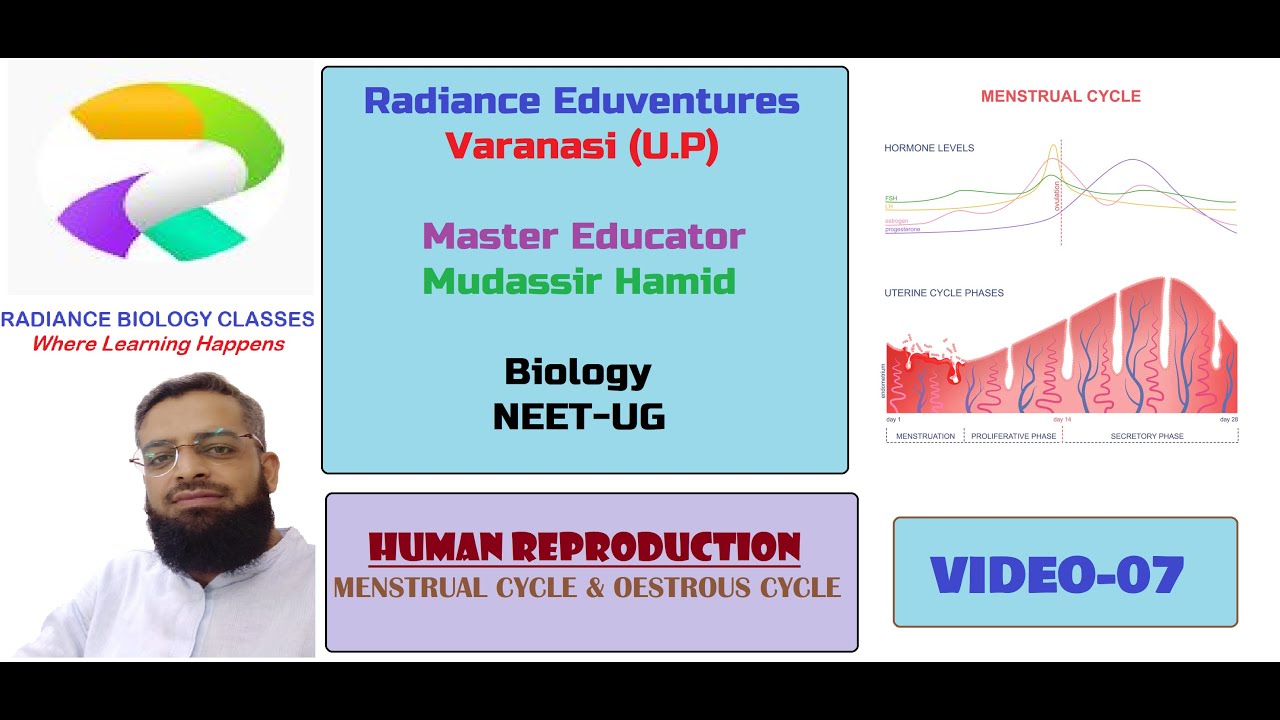 Human Reproduction/Video-07/Menstrual Cycle & Estrous Cycle - YouTube