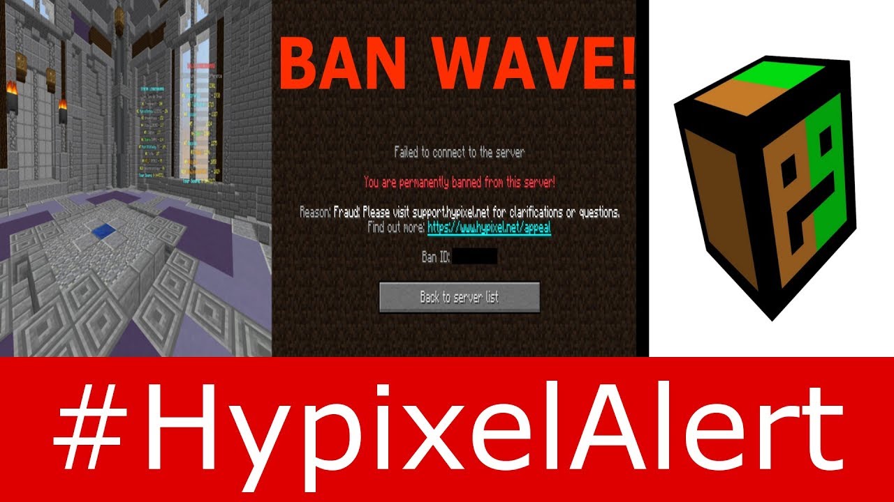 Massive Hypixel Ban Wave! #HypixelAlert Sumo Mode, TapL Privates Videos ...