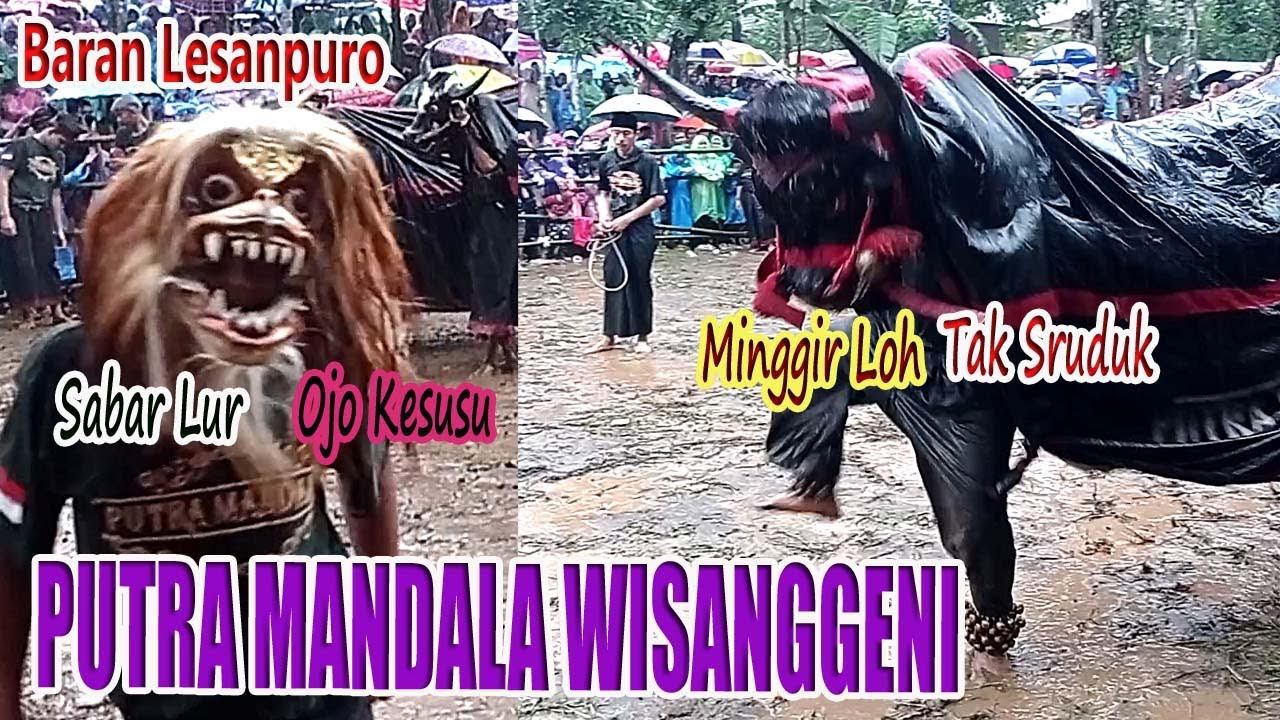 PUTRA MANDALA WISANGGENI || AWAS KESERUDUK SUNGU || Bantengan Baran ...