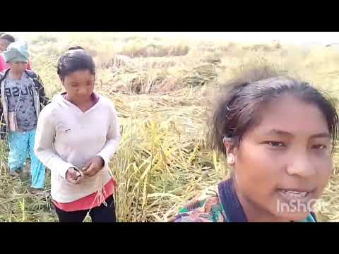 Bolgan.grecha mi hajira rata - YouTube